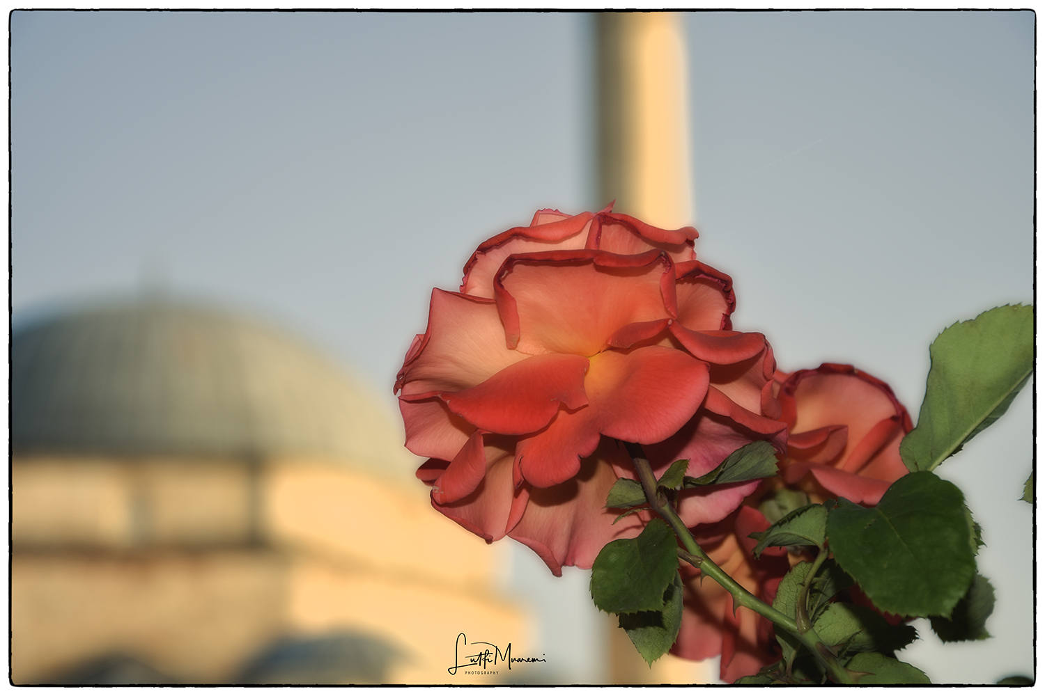 KËSHILLA TË MENÇURA – 002/365 – Xhamia Rabia – Debresh